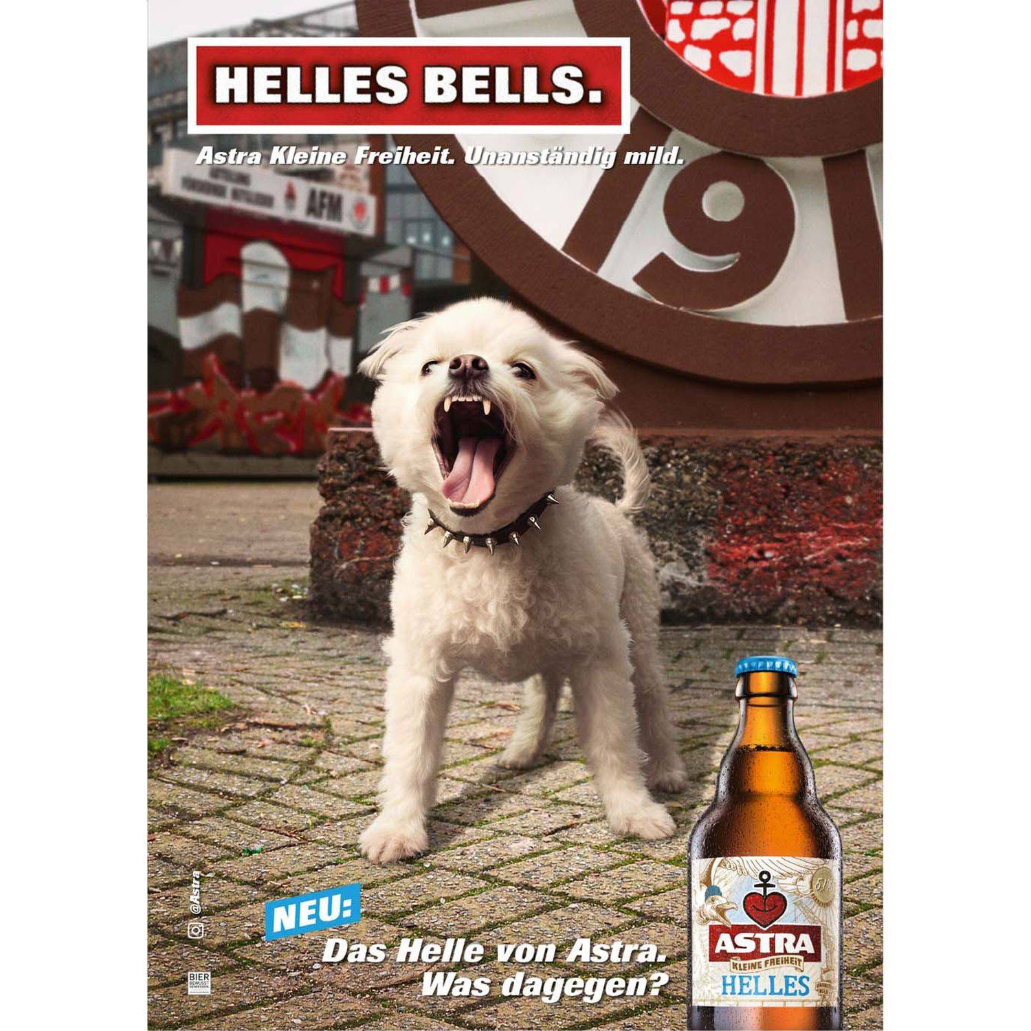 Rock N Shop | FC St. Pauli, Astra & Band Merchandise